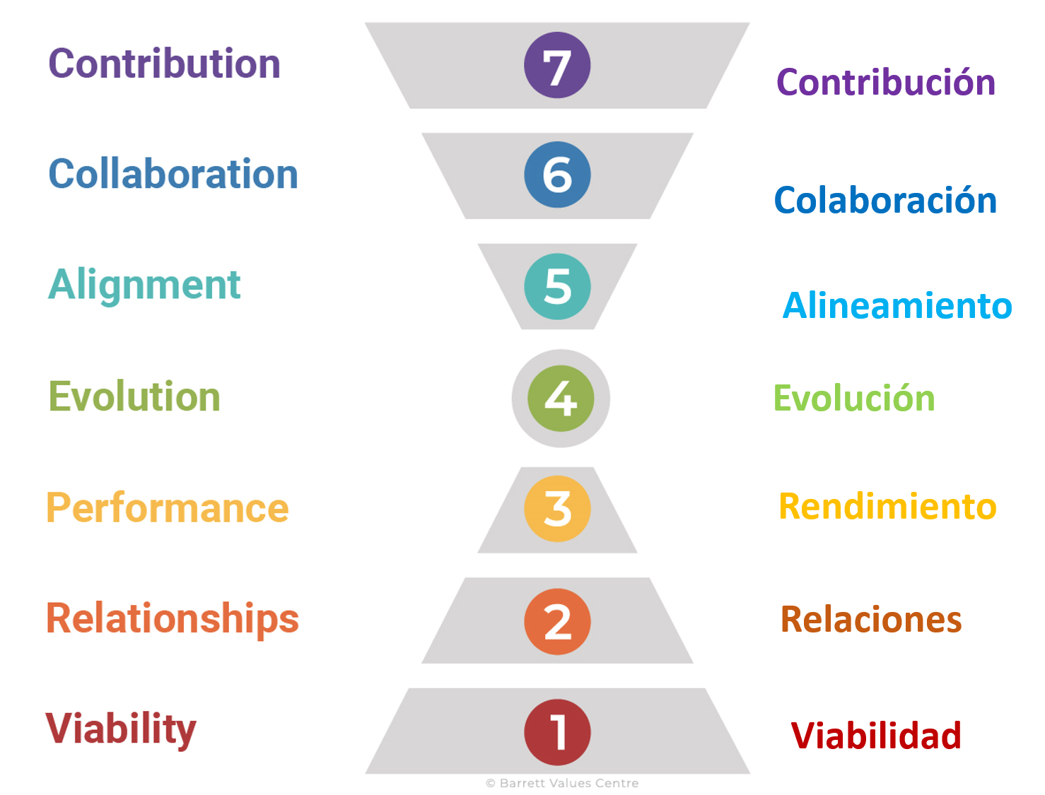 La Evolución del Modelo Barrett por Transform Action