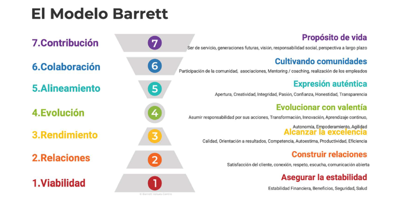 Apoyo teórico del Modelo Barrett - TransformAction