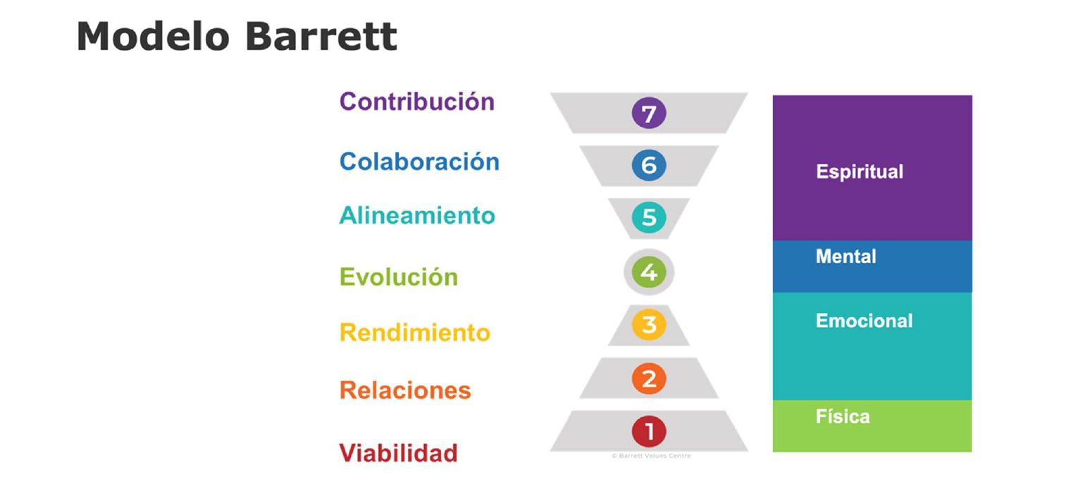 Apoyo teórico del Modelo Barrett - TransformAction